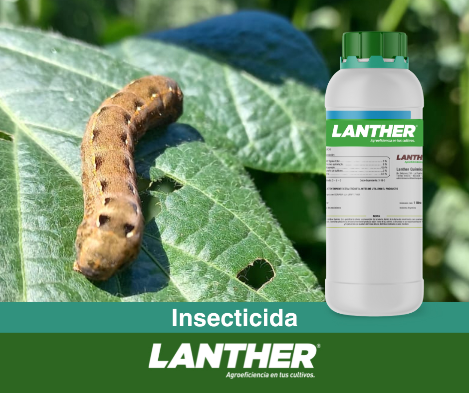 Insecticidas – Lanther